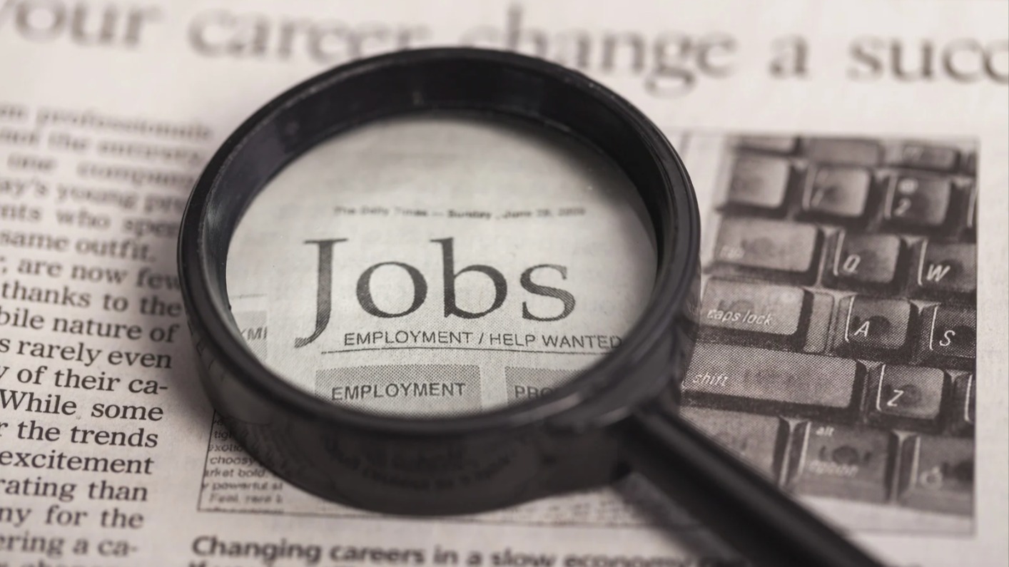 Where Should Fresh Graduates Start Job Hunting to Avoid Getting Lost?